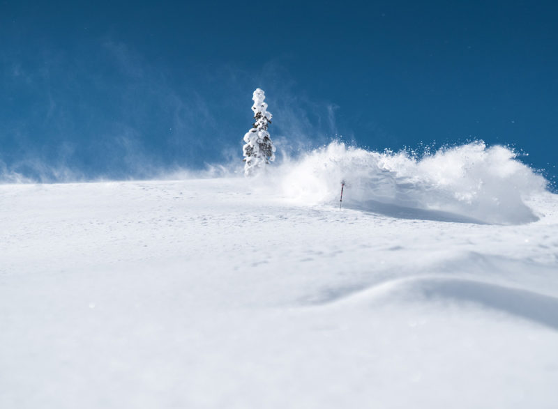 Jonathan Rollins - RED Mountain Resort