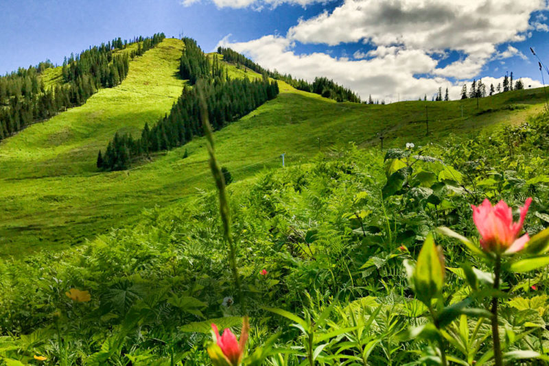 The Experience - RED Mountain Resort